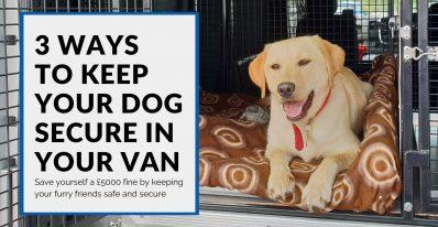 Transporting Dogs In Vans: 3 Ways To Keep Pets Safe In Transit